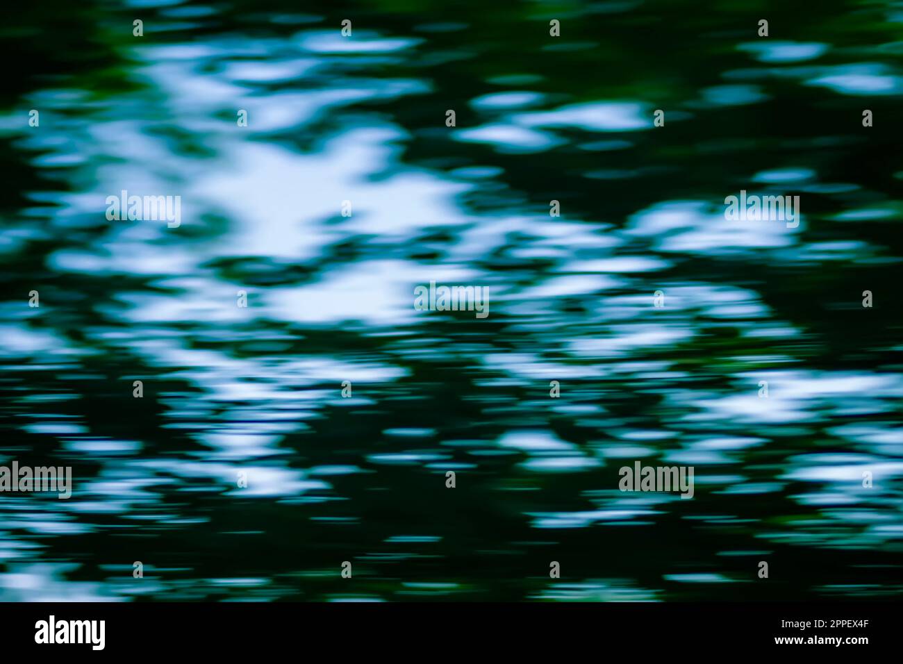 Lake water surface reflecting trees and plants. Photography motion ...