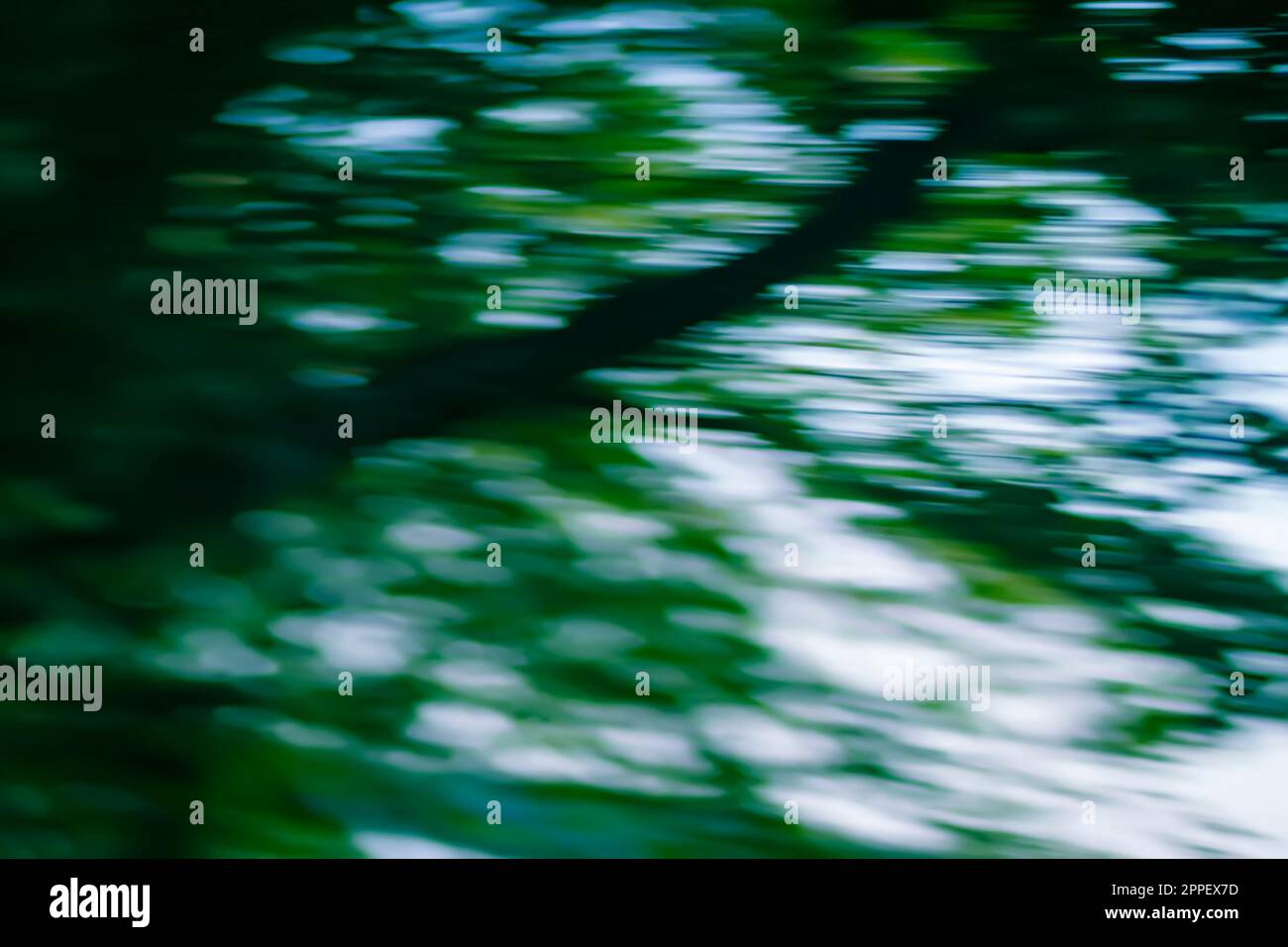 Lake water surface reflecting trees and plants. Photography motion ...