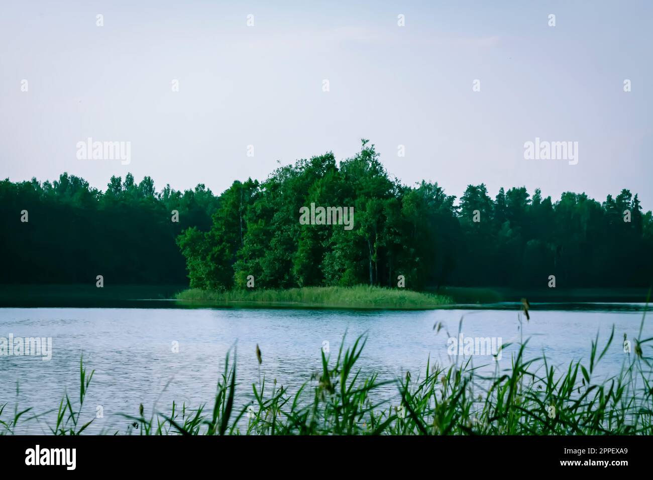Lake with small island. Rural landscape Stock Photo - Alamy