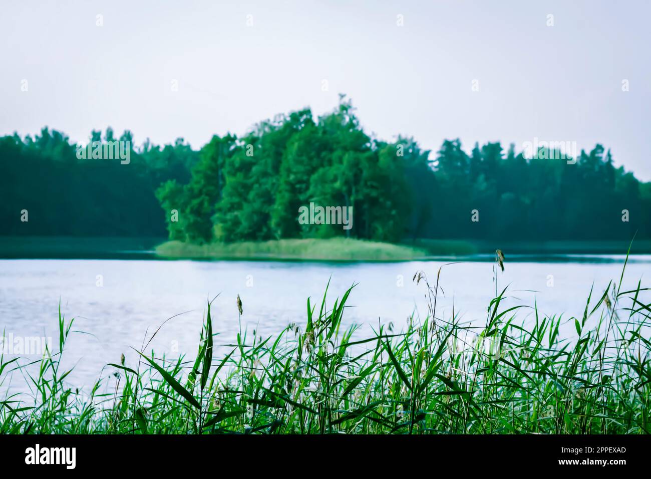 Lake with small island. Rural landscape Stock Photo - Alamy
