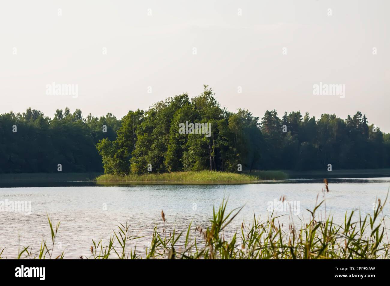 Lake with small island. Rural landscape Stock Photo - Alamy