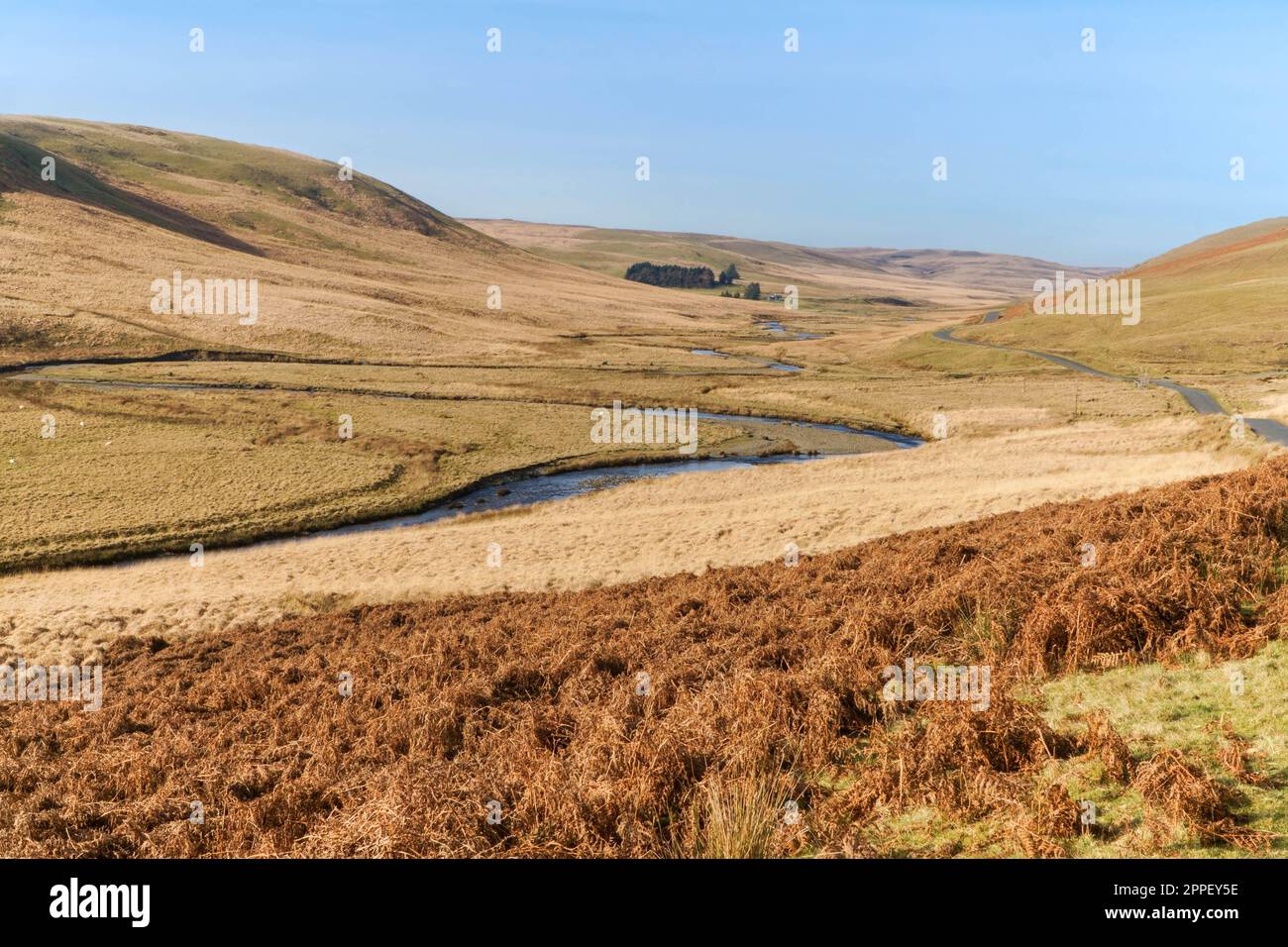 The river Elan (Afon Elan meandering it's way through the Cambrian ...