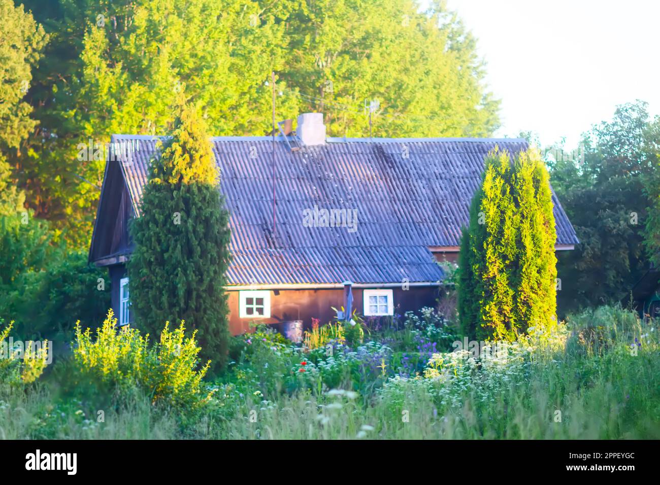 Landscape in the countryside in summertime Stock Photo - Alamy