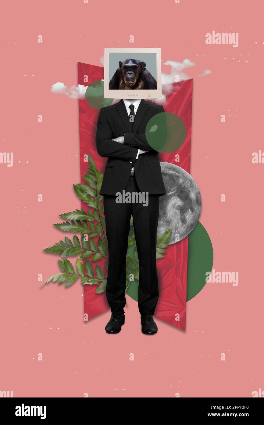 Vertical collage image of elegant guy folded arms monitor display ...