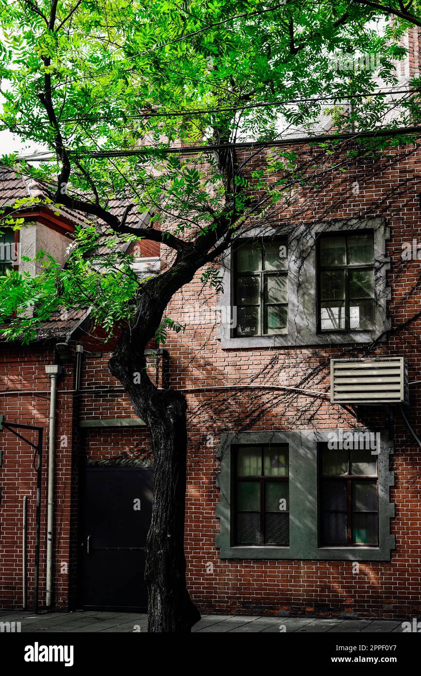 The buildings on many streets in Shanghai still retain the humanistic ...
