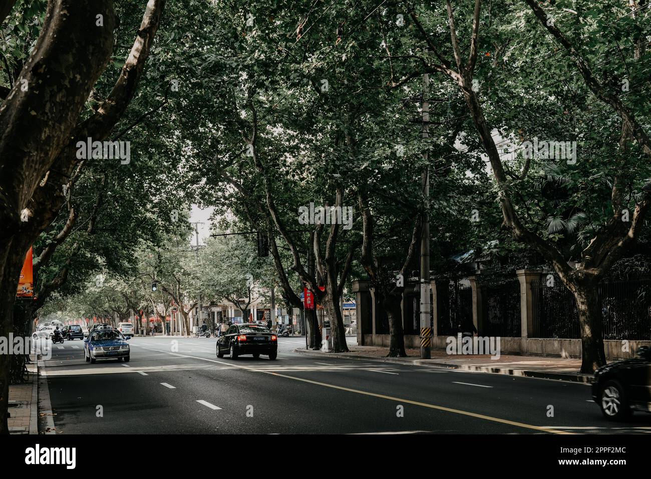 The buildings on many streets in Shanghai still retain the humanistic ...