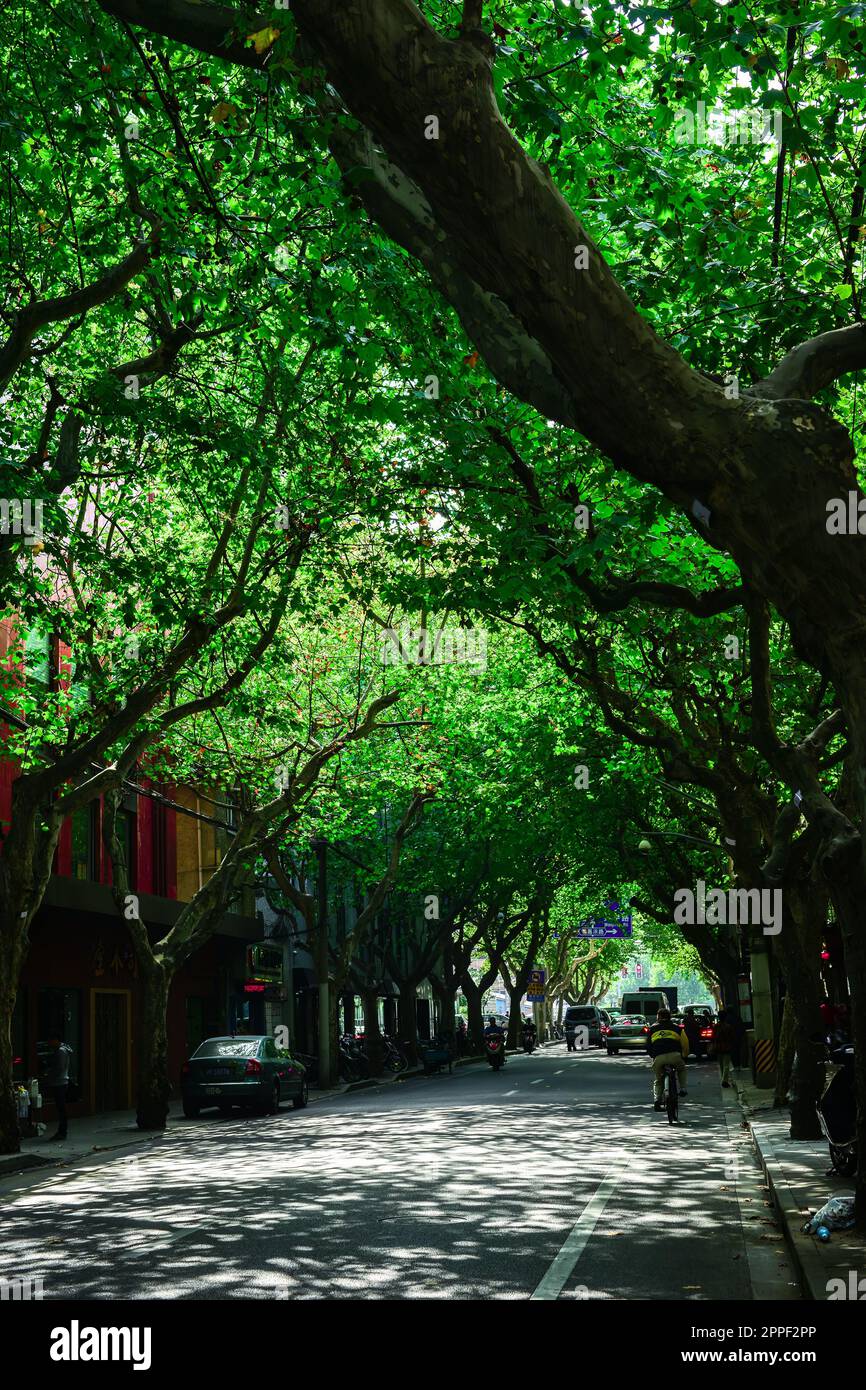 The buildings on many streets in Shanghai still retain the humanistic ...