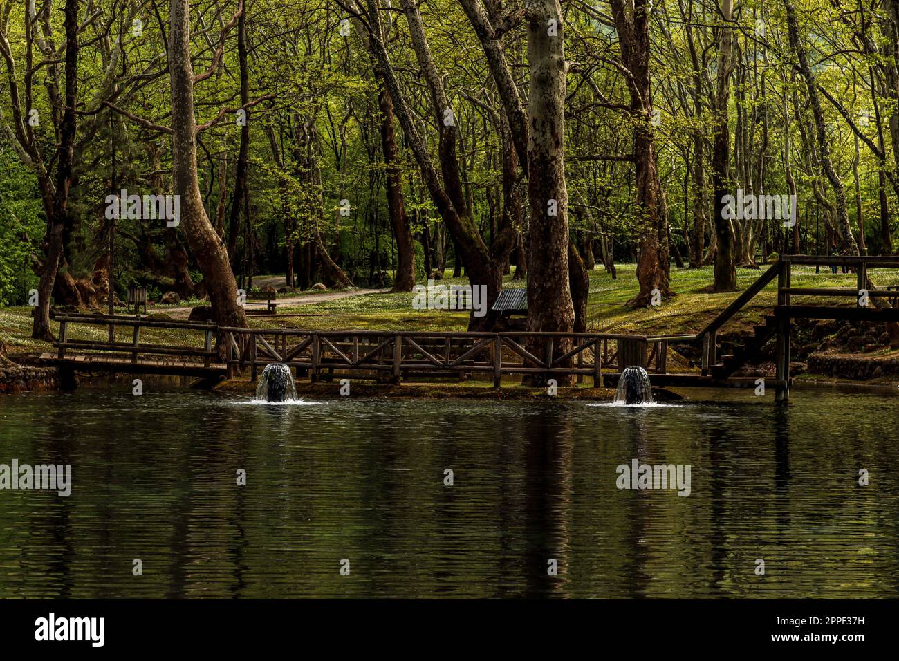 Woodland waterfront park hi-res stock photography and images - Alamy