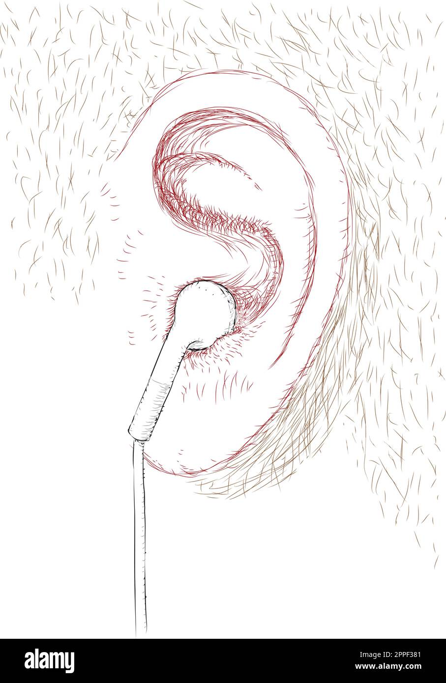 Human ear illustration hi-res stock photography and images - Alamy