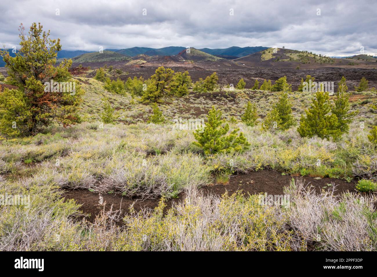 Craters of the Moon National Monument and Preserve in Idaho Stock Photo ...