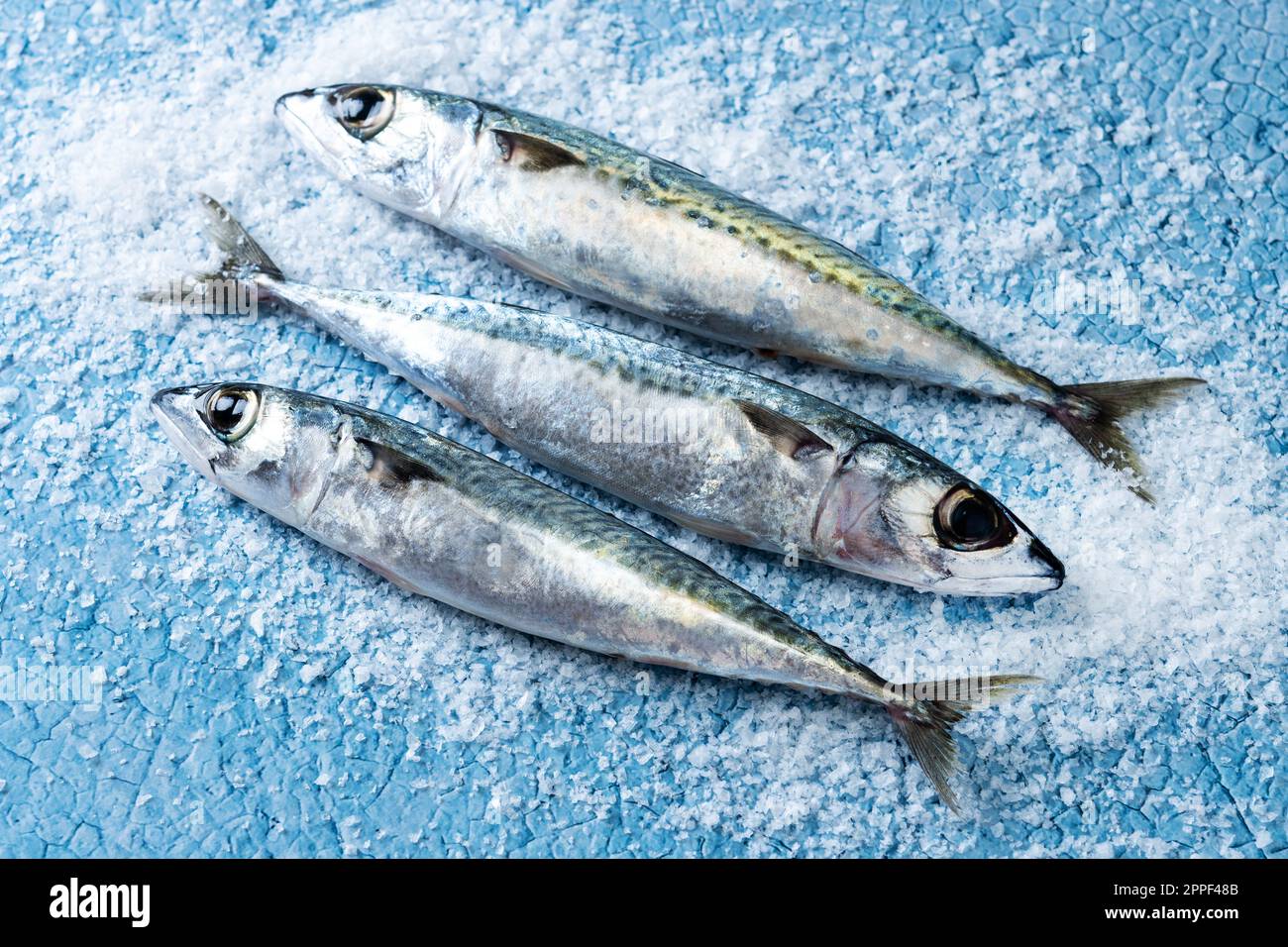 Raw mackerel fish with salt around isolated on white background Stock ...