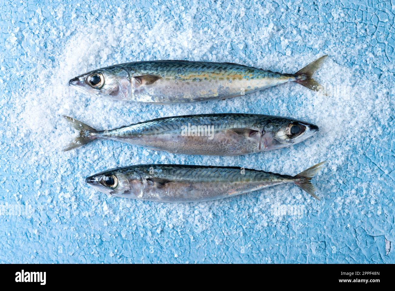 Raw mackerel fish with salt around isolated on white background Stock ...