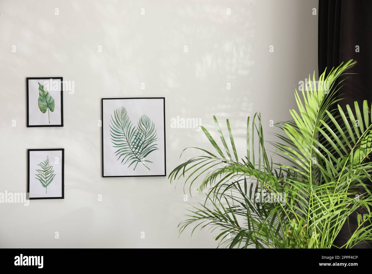 Beautiful pictures on white wall. Idea for interior design Stock Photo ...