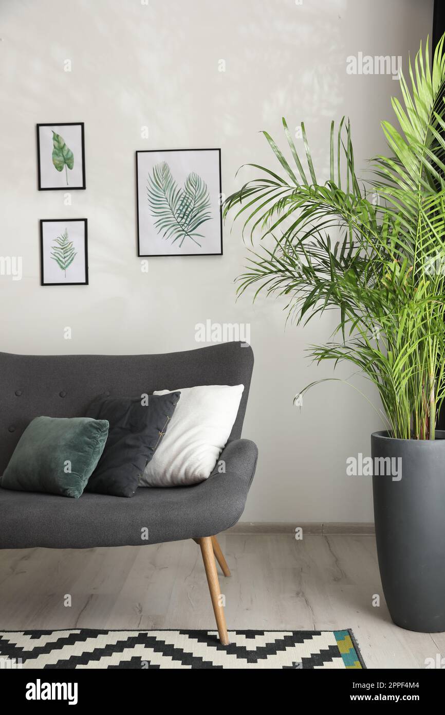 Comfortable sofa in room. Idea for interior design Stock Photo - Alamy