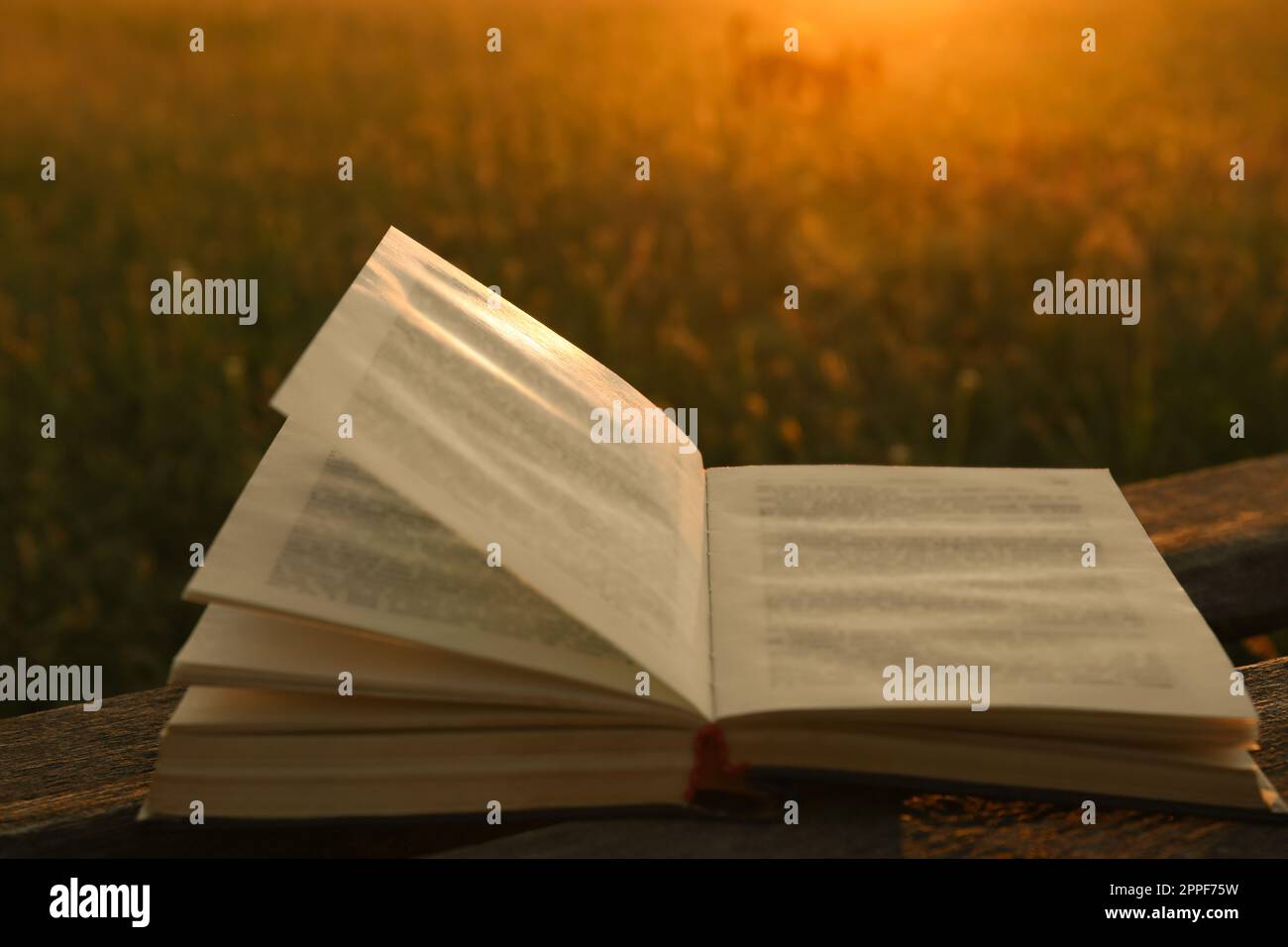 Open book on bench in hi-res stock photography and images - Alamy