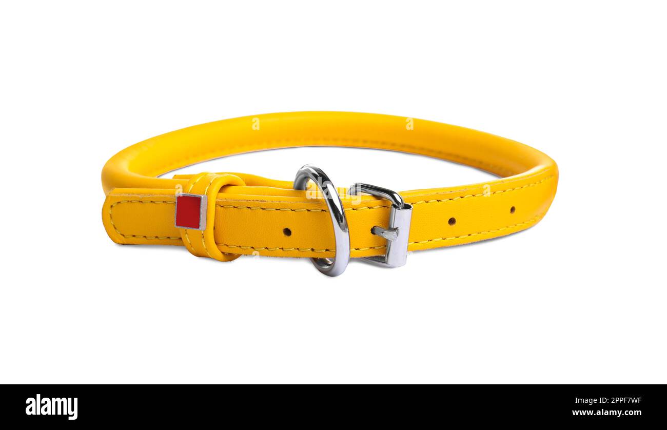 Yellow neck collar hi-res stock photography and images - Alamy