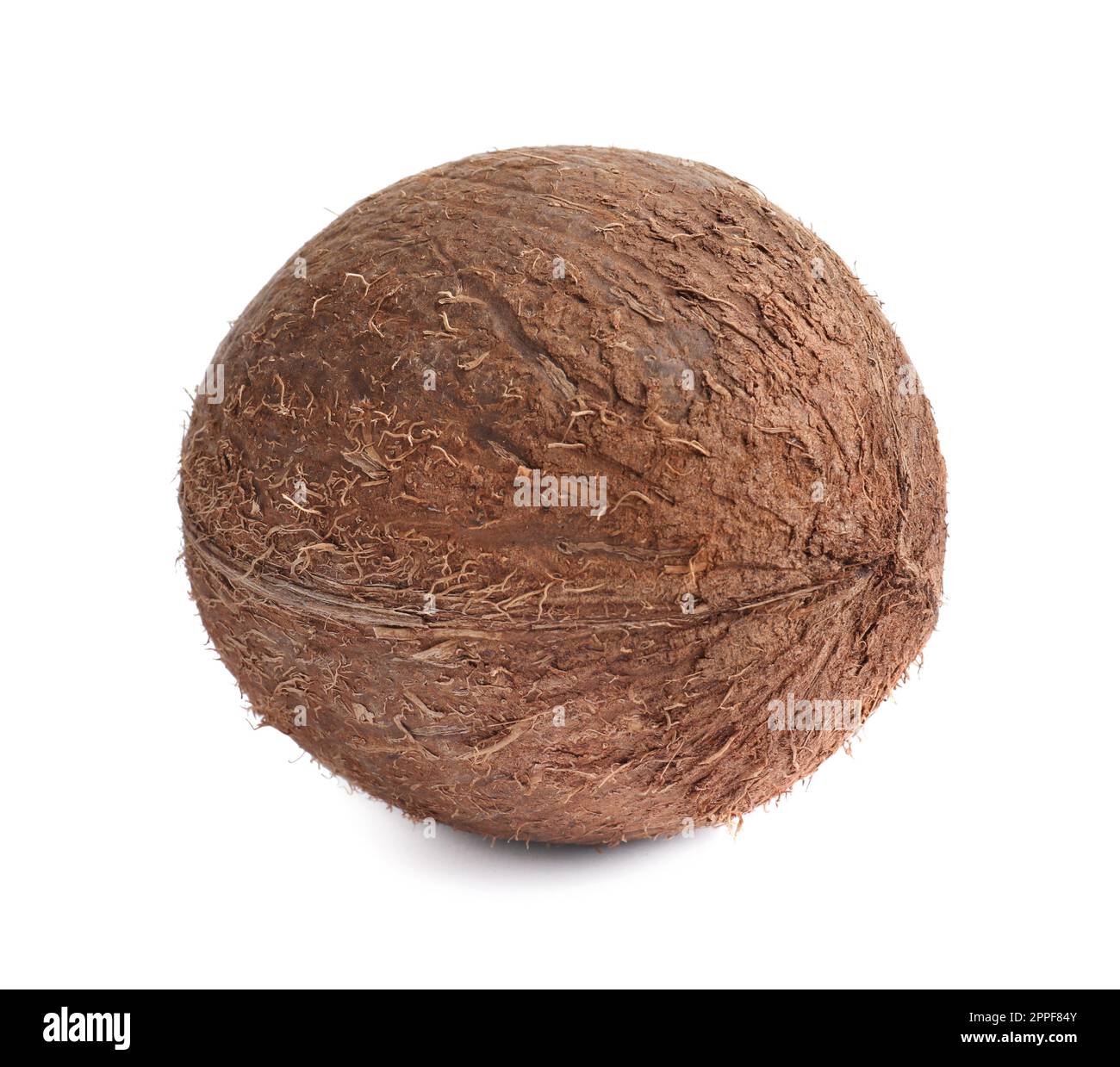 Whole coconut Cut Out Stock Images & Pictures - Alamy