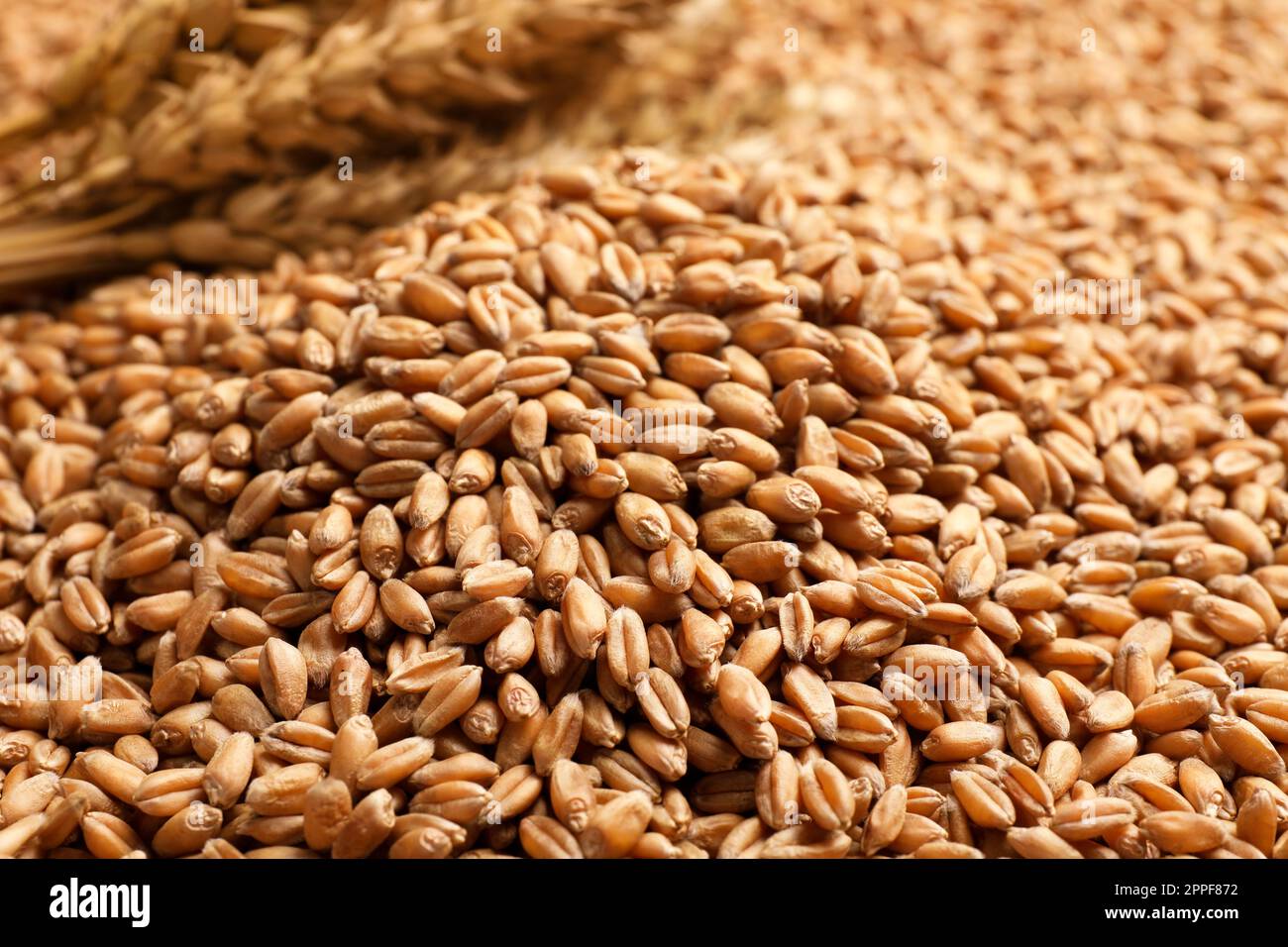 Heap of wheat grains as background, closeup view Stock Photo - Alamy