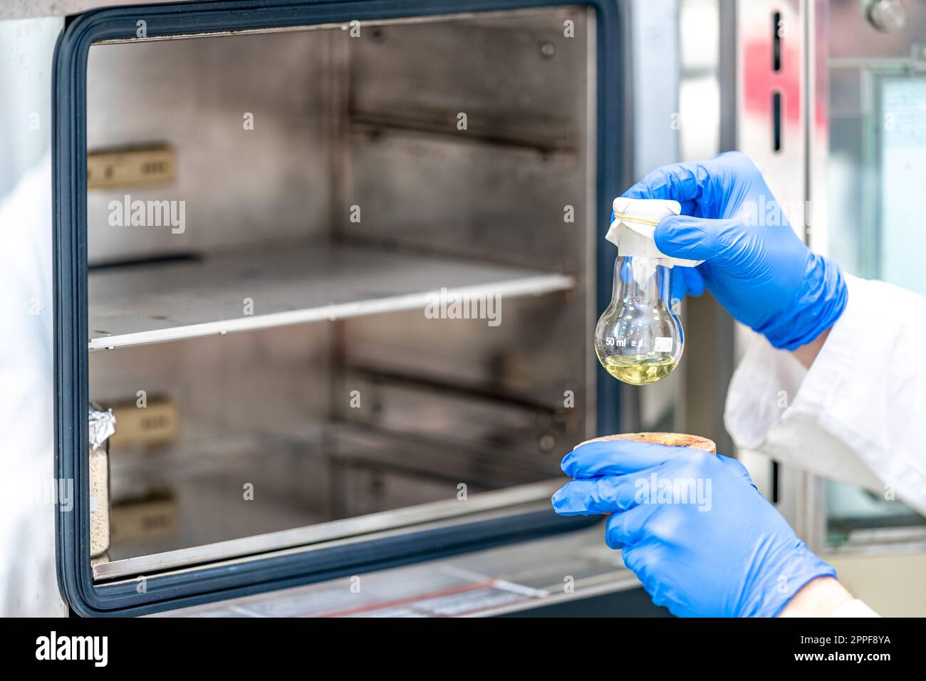 heating a chemical sample in a furnace in a research scientific ...