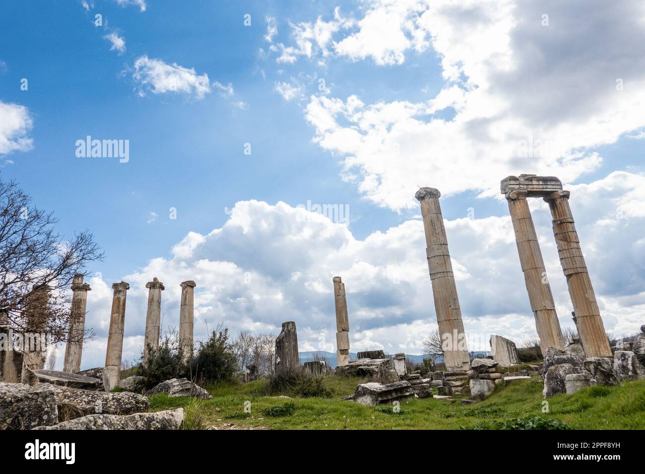 Well preserved examples hi-res stock photography and images - Alamy