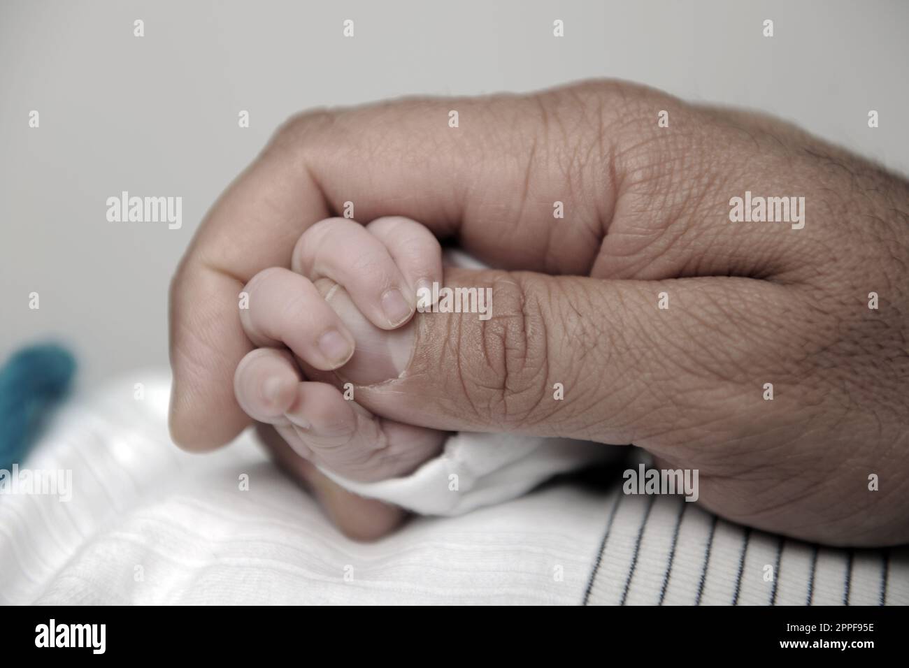 Takes close up of the hand of an unrecognizable adult holding the small ...