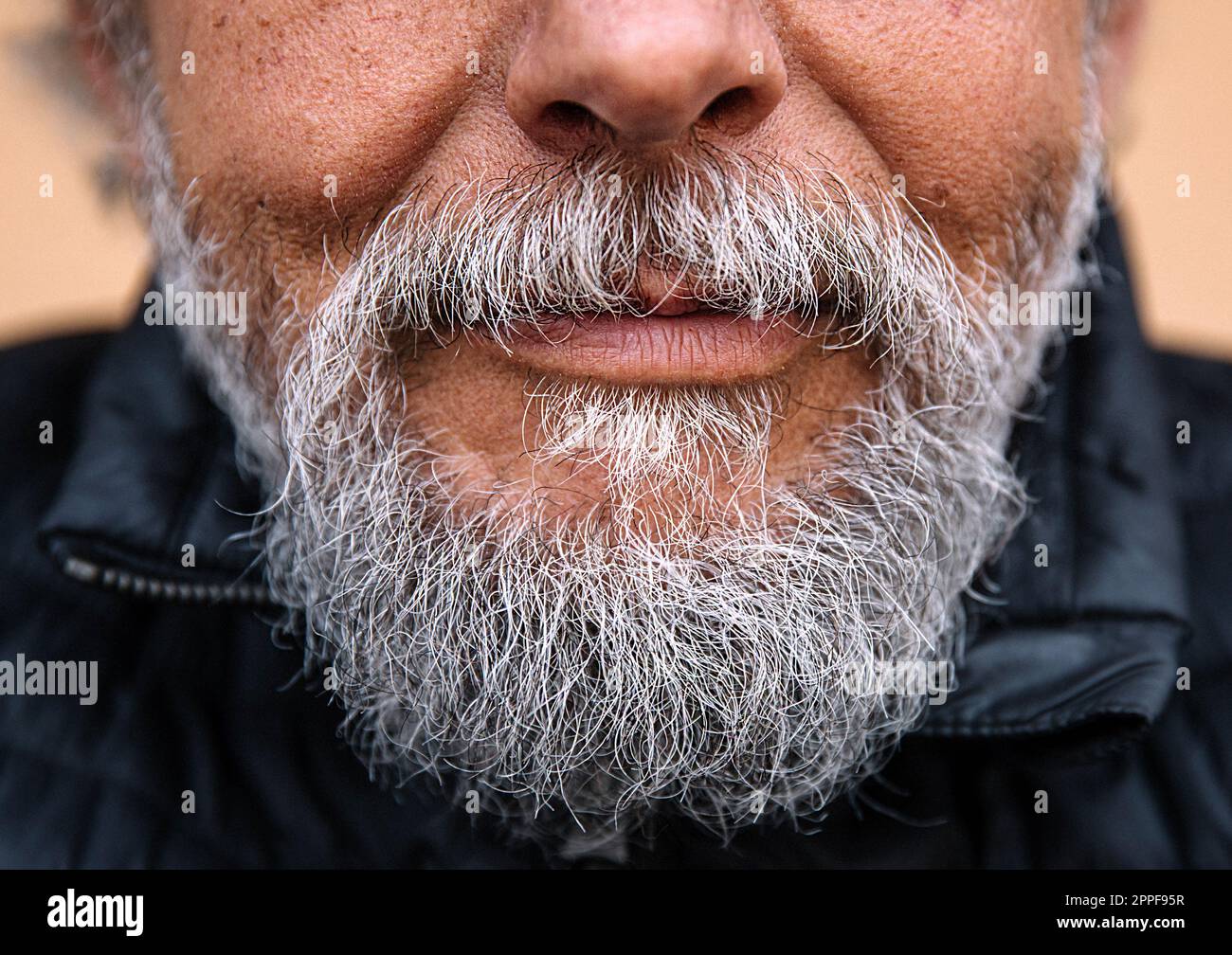 The gray beard of an aging man, the grandfather Stock Photo - Alamy