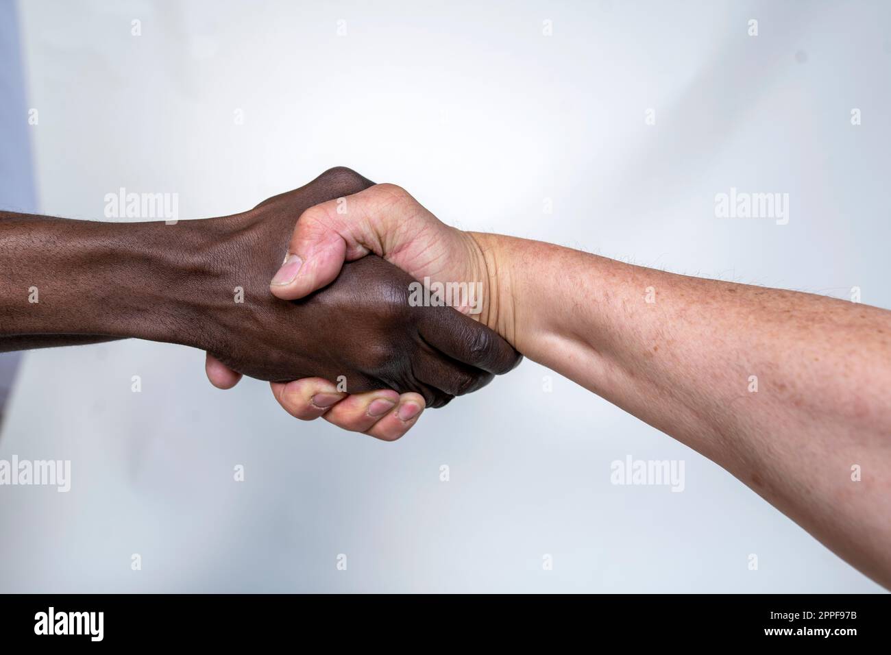 Arms of two anonymous men shaking hands with each other on a gray ...