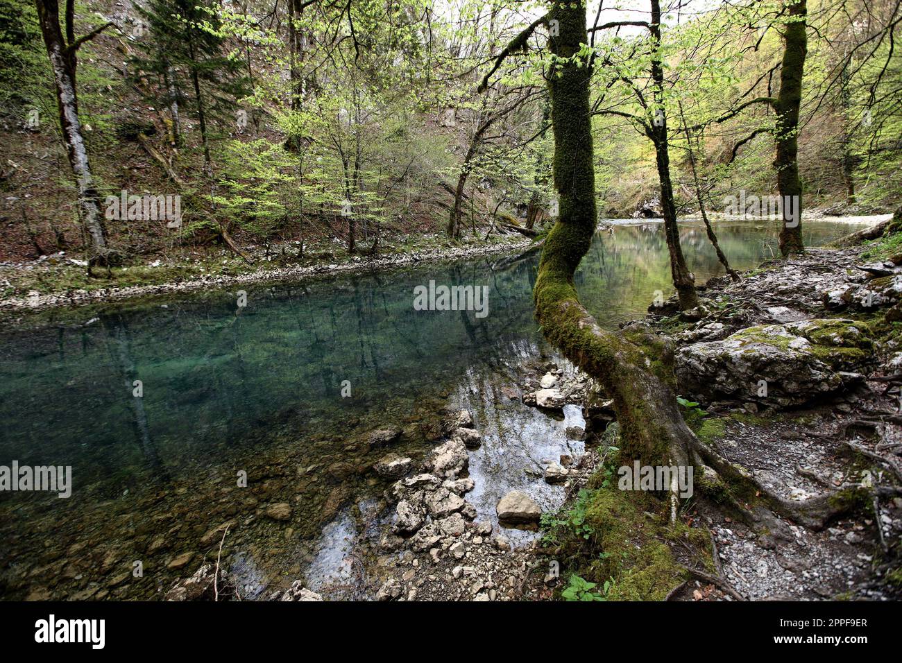Gorski Kotar, Croatia. 23rd Apr, 2023. The source of the Kupa River in ...