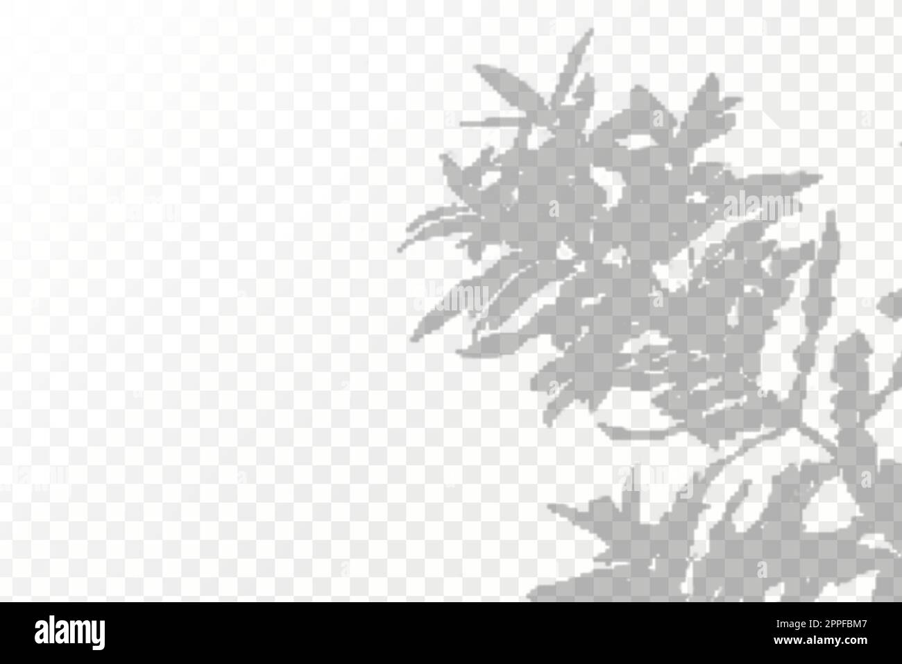 The effect of overlaying shadows.Realistic shadow tropical leaves and ...