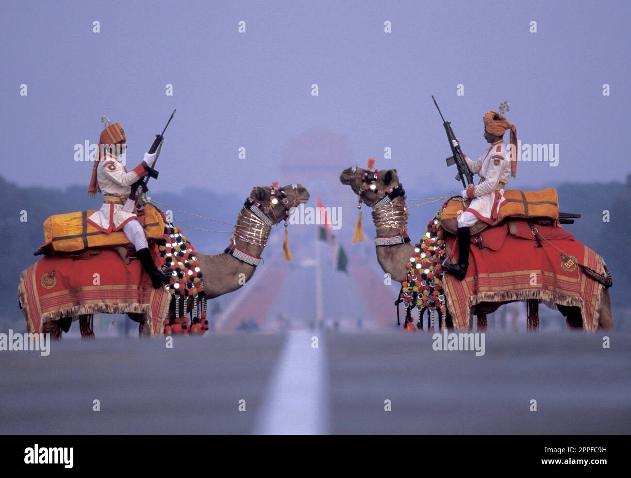 a view with soldiers on a camel a the Parade at the Republic Day on ...