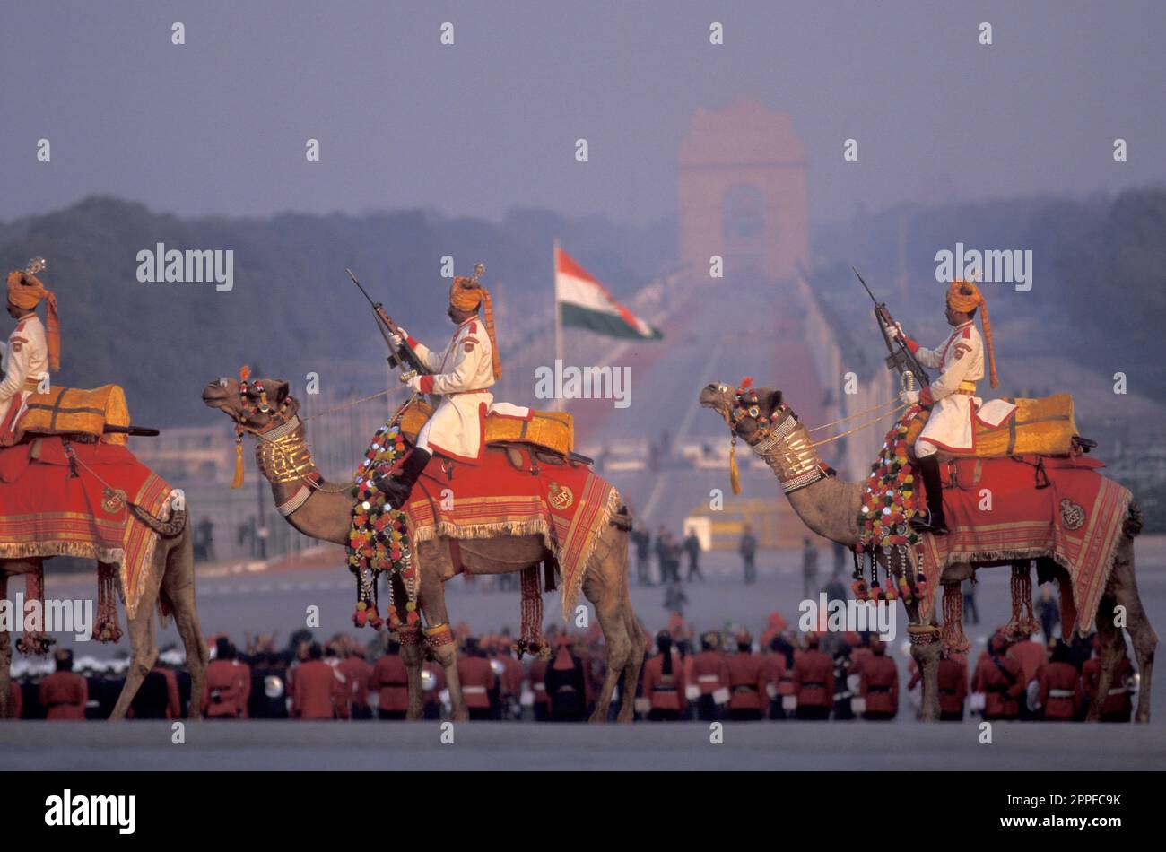 a view with soldiers on a camel a the Parade at the Republic Day on ...