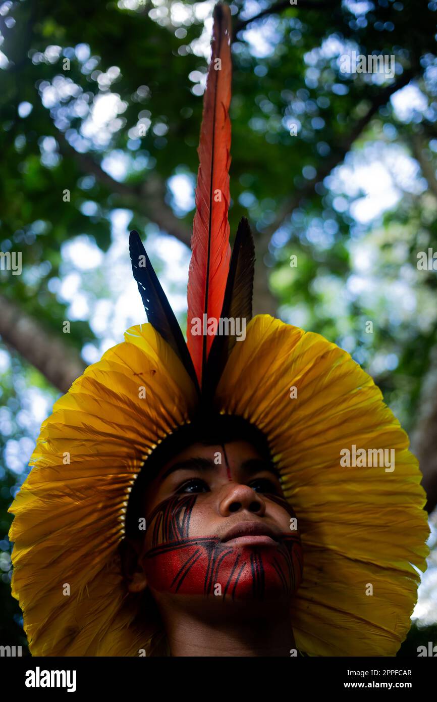 Kalapalo hi-res stock photography and images - Alamy