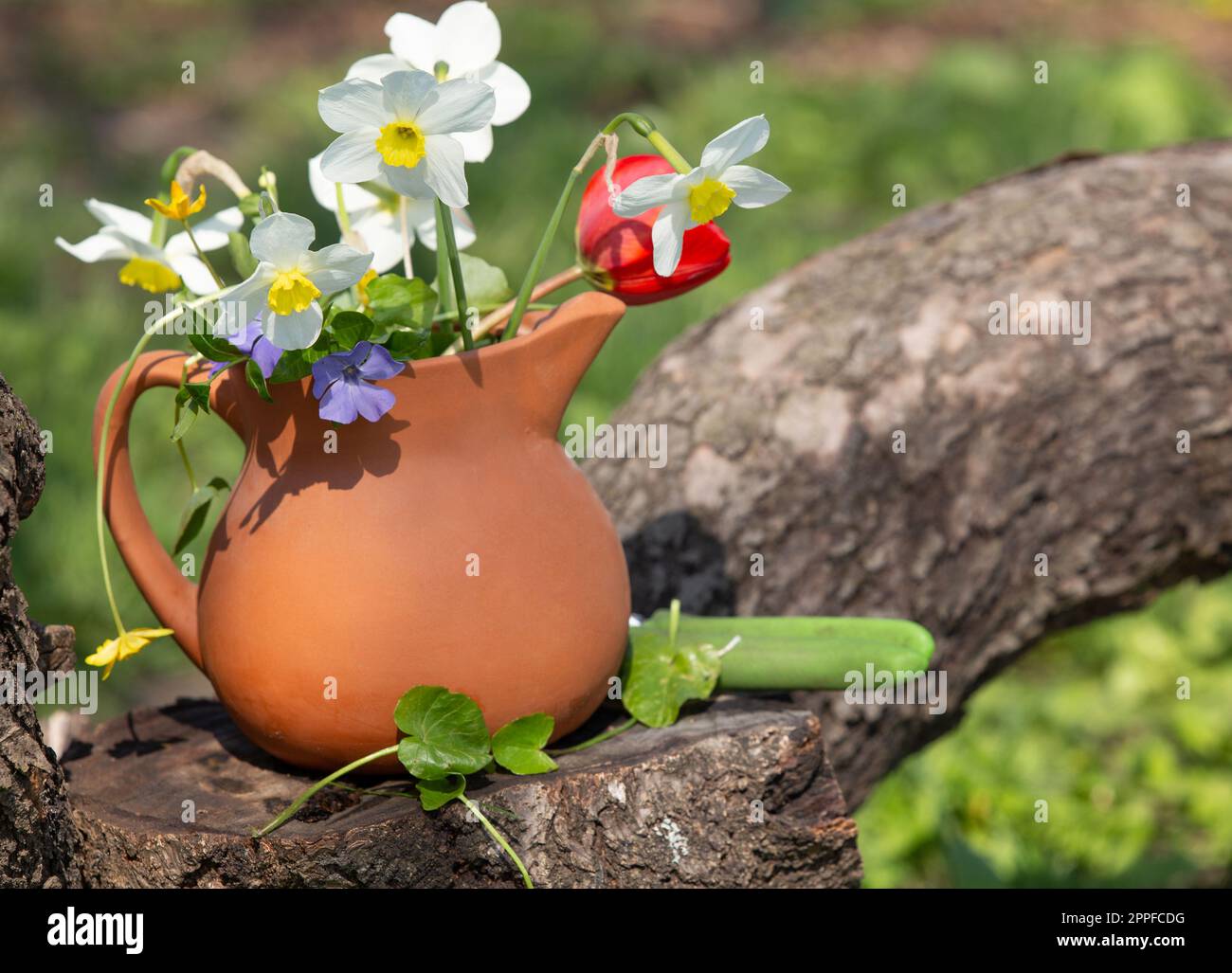 Bouquet of spring flowers in a ceramic jug on a background of green ...