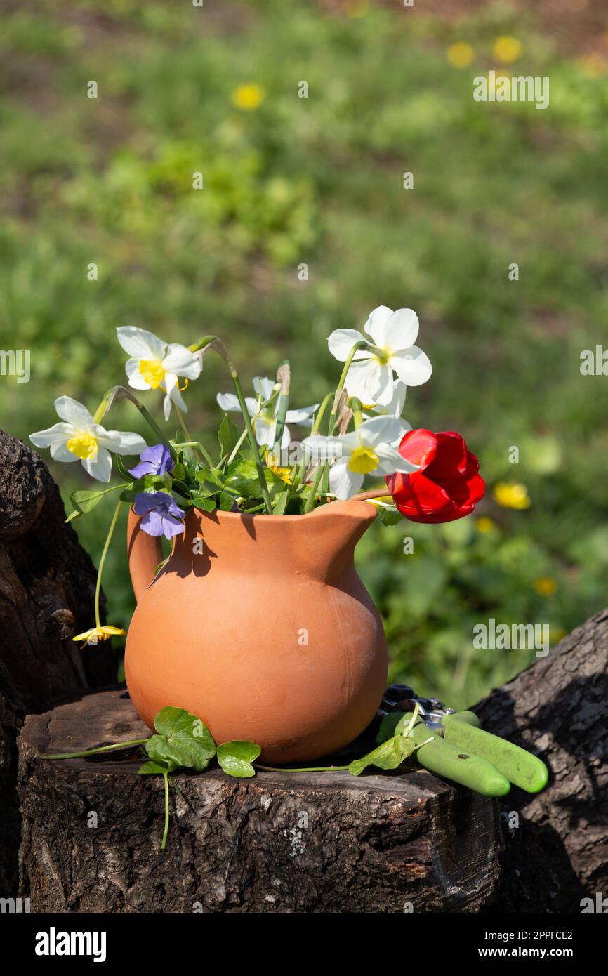 Bouquet of spring flowers in a ceramic jug on a background of green ...