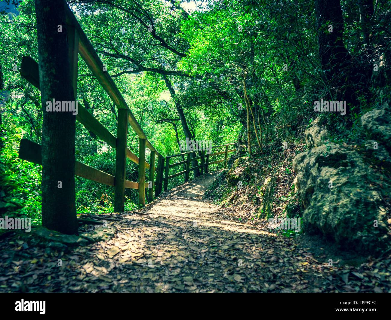 A trail with a wooden fence. Saint James Way Walking Route, North El ...