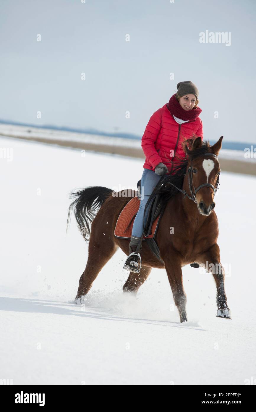 Woman riding brown horse in hi-res stock photography and images - Alamy