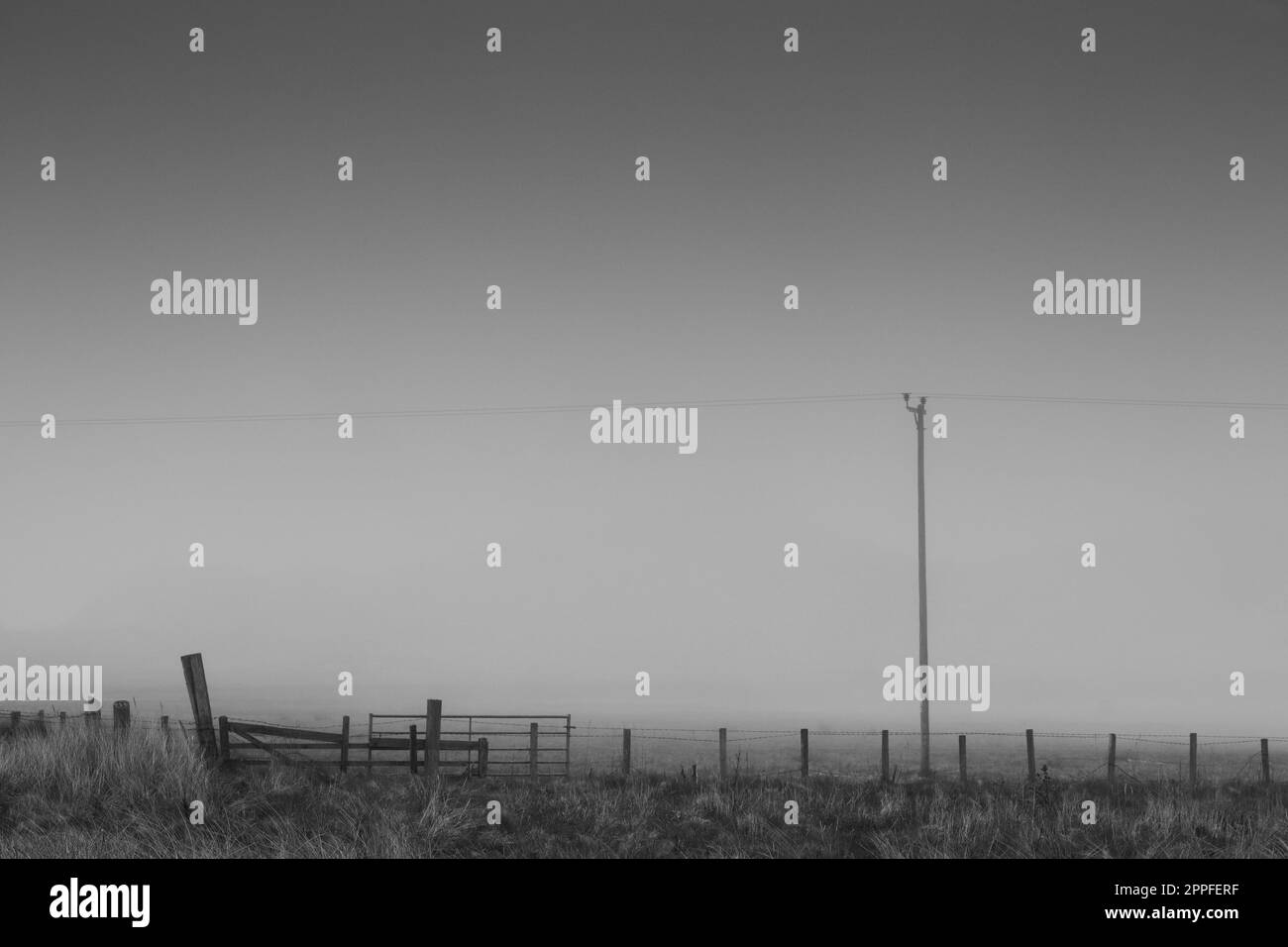 Telegraph poles in mist Stock Photo - Alamy
