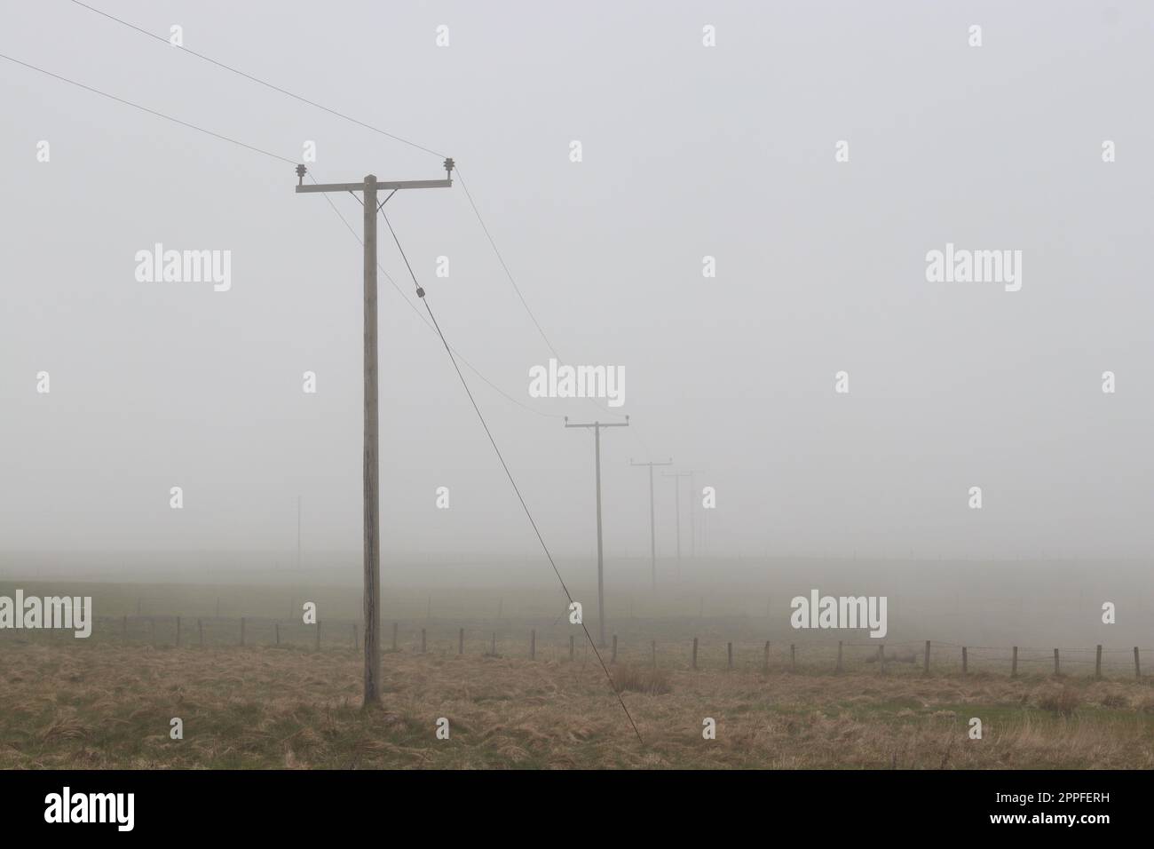 Telegraph poles in mist Stock Photo - Alamy