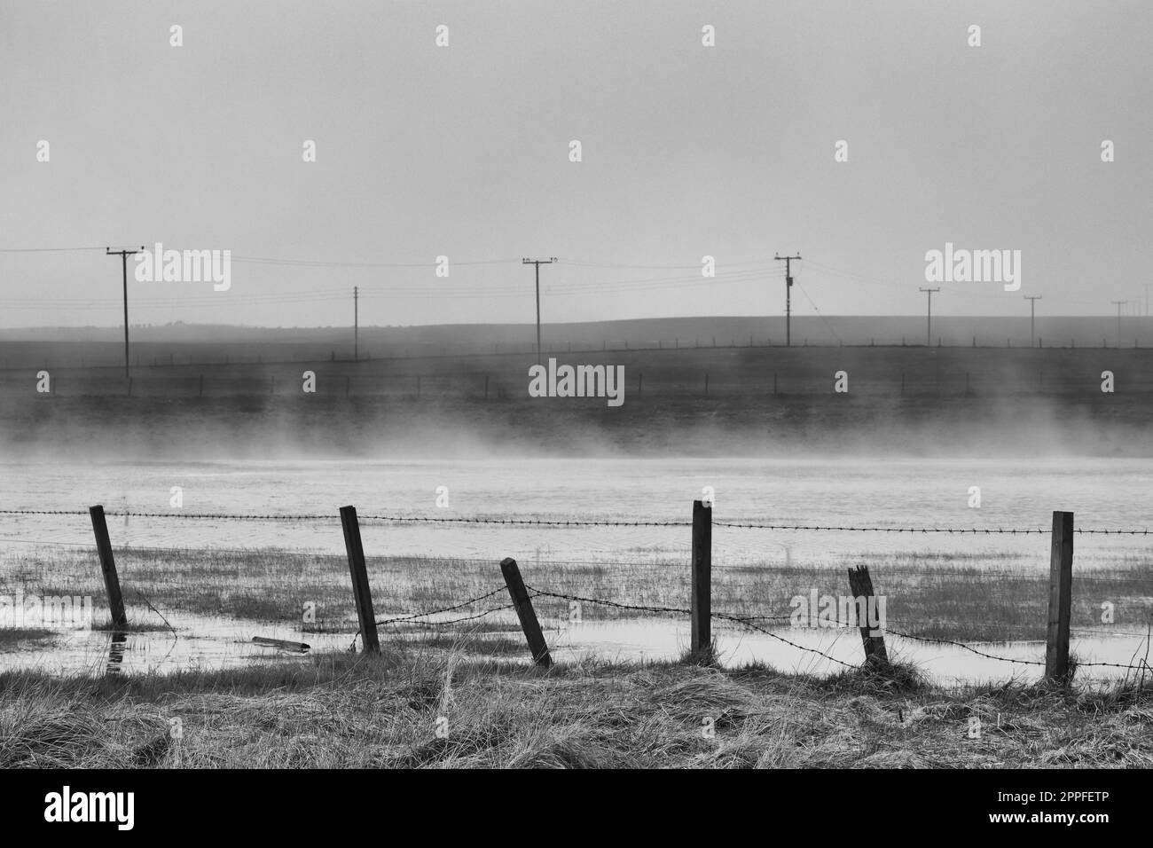 Fence and telegraph poles in mist Stock Photo - Alamy
