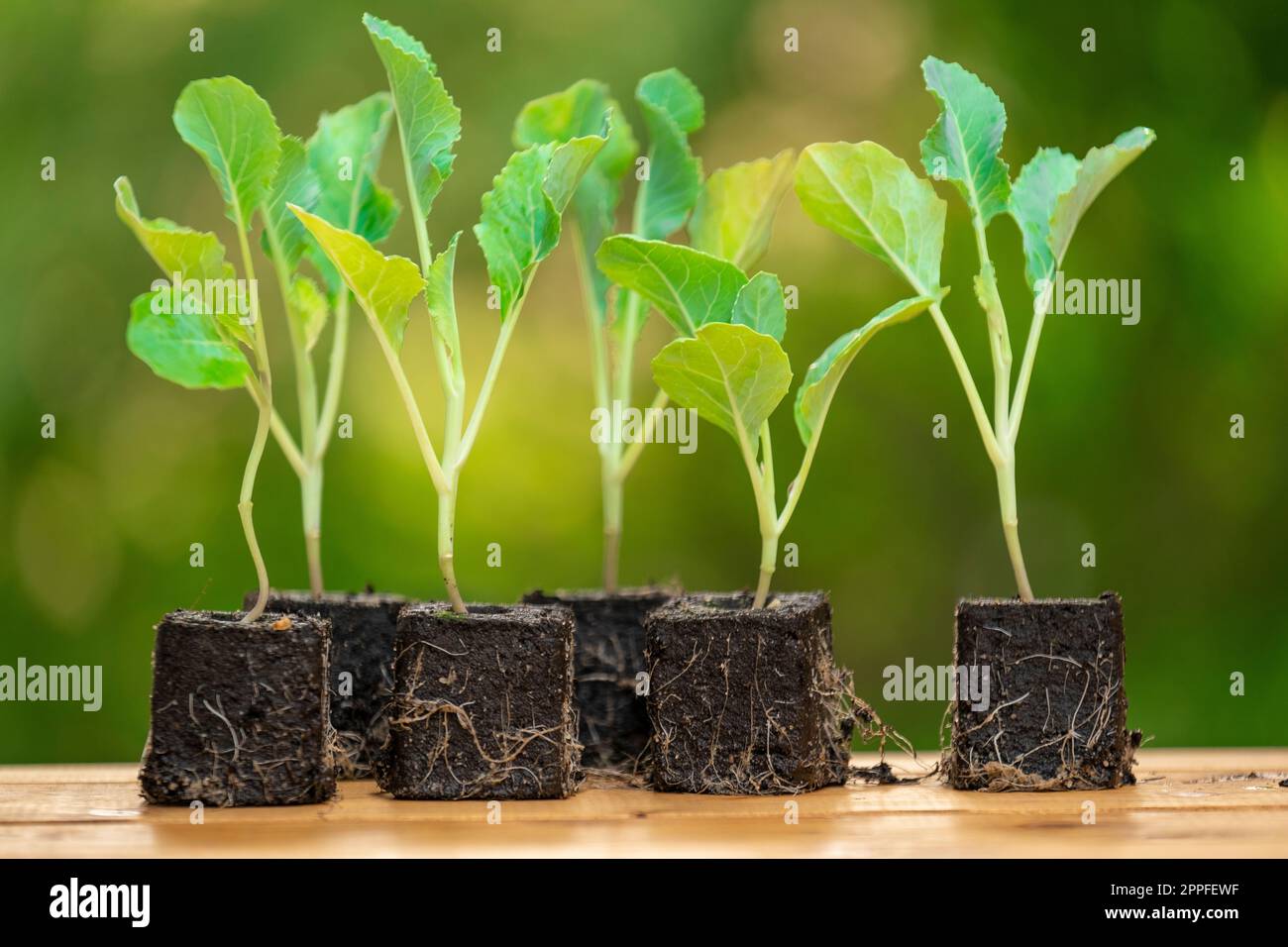 System table hi-res stock photography and images - Alamy