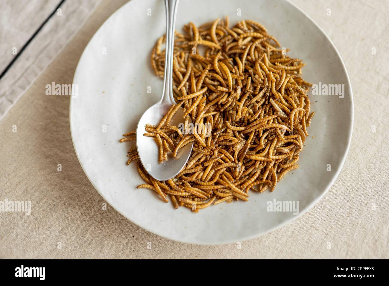 Meal worm foods.Insect food in a beige plate on a linen tablecloth ...