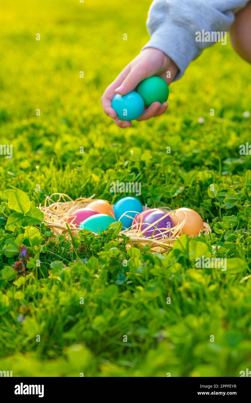 Nuremberg egg germany hi-res stock photography and images - Alamy
