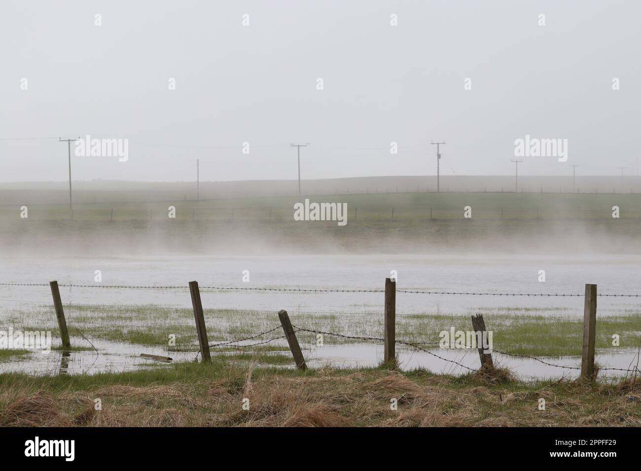 Fence and telegraph poles in mist Stock Photo - Alamy