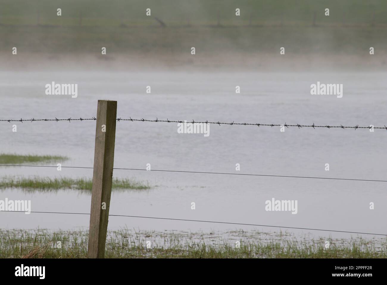 Fence post and barbed wire in mist Stock Photo - Alamy