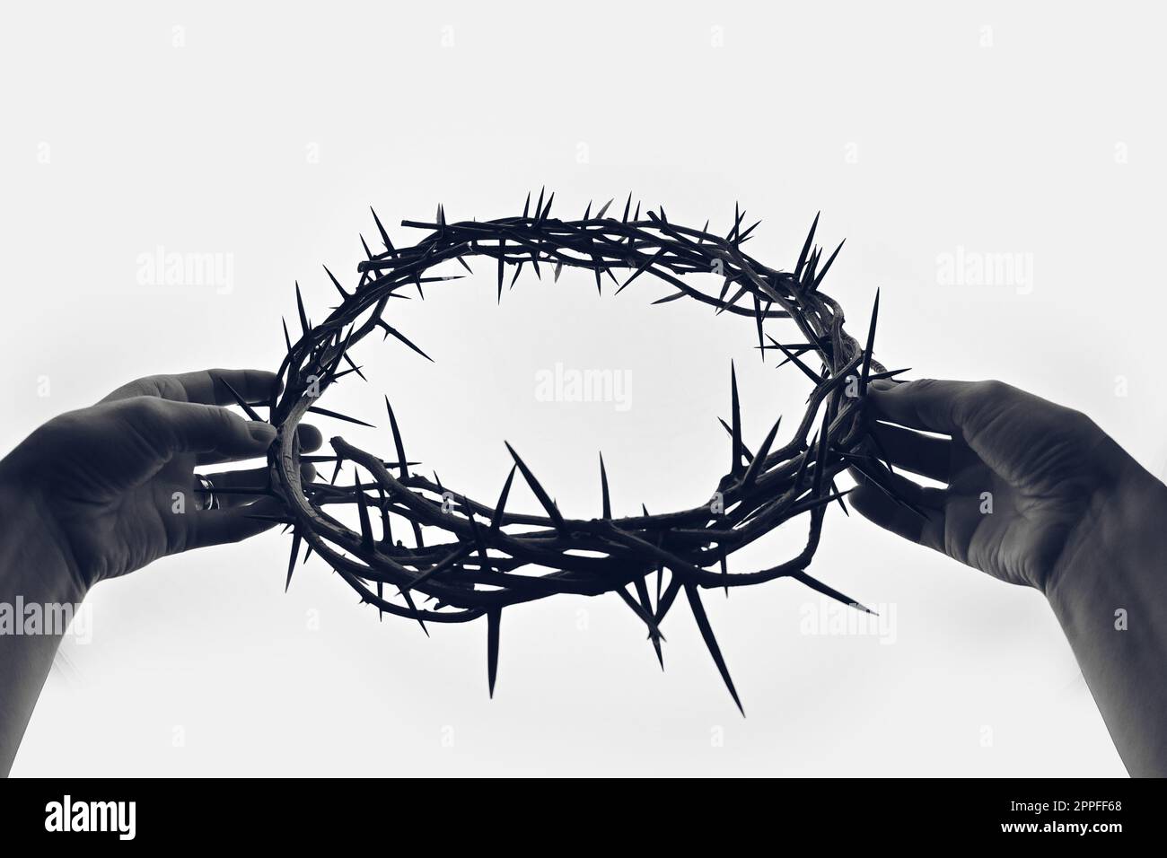 Details Hand holding crown of thorns in Studio Stock Photo - Alamy