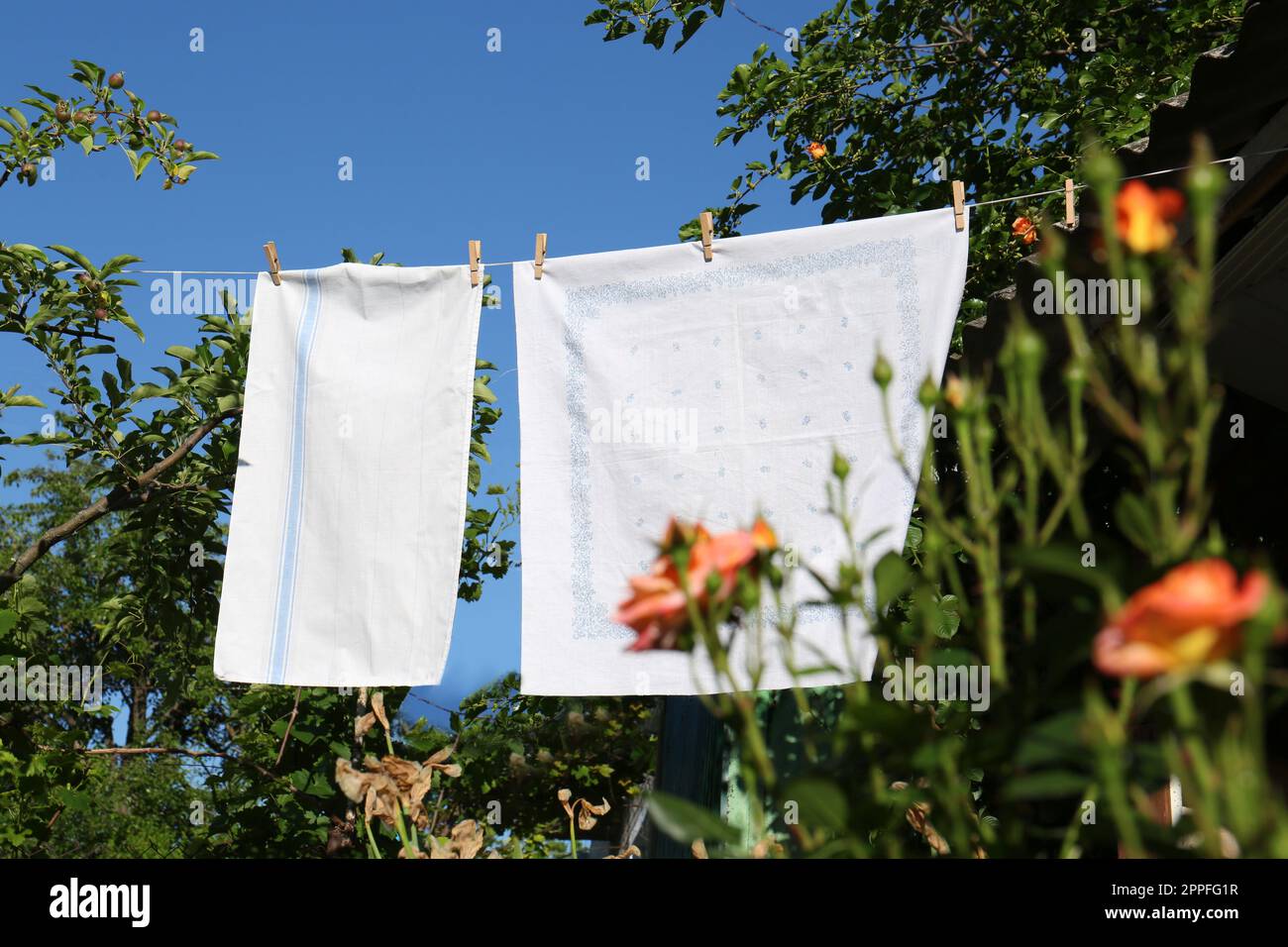 Washing line with clean laundry and clothespins outdoors Stock Photo ...