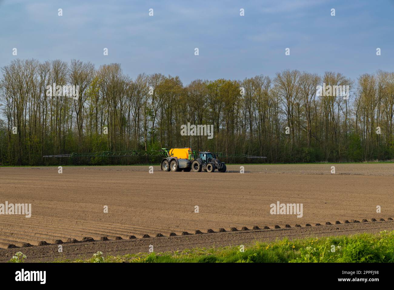 Tractor with sprayer during spring work on the field Stock Photo - Alamy