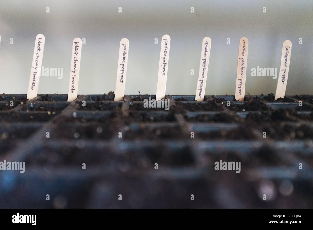 Beginning of agriculture hi-res stock photography and images - Alamy