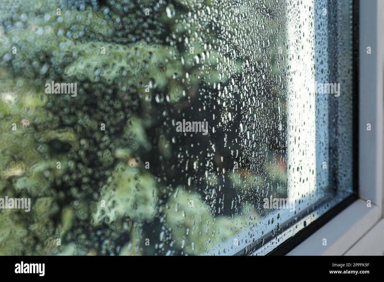 Window glass with drops of condensate indoors, closeup Stock Photo - Alamy