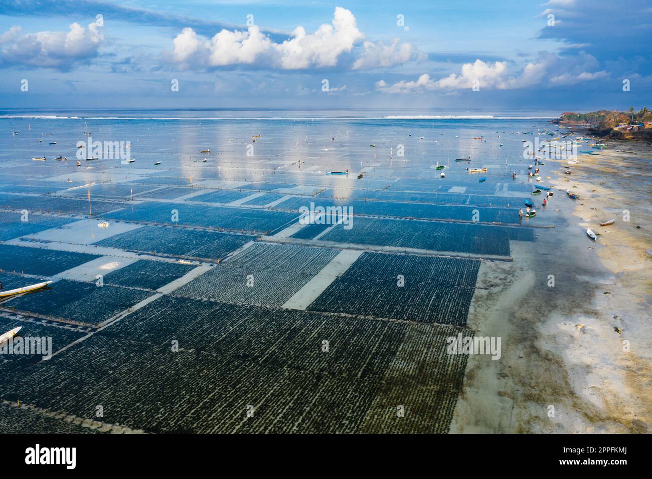 Seaweed farm aerial hi-res stock photography and images - Alamy